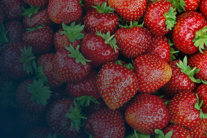 DPS Ltd Customer Success Story | SAP BusinessObjects